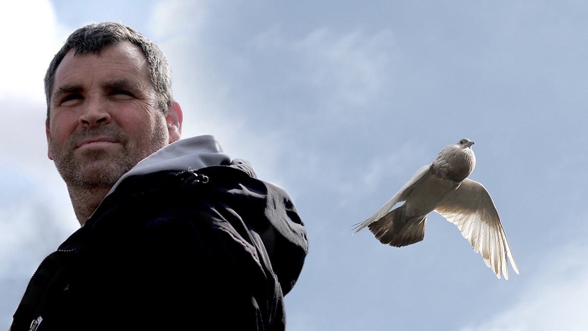 BBC Scotland - Dooman