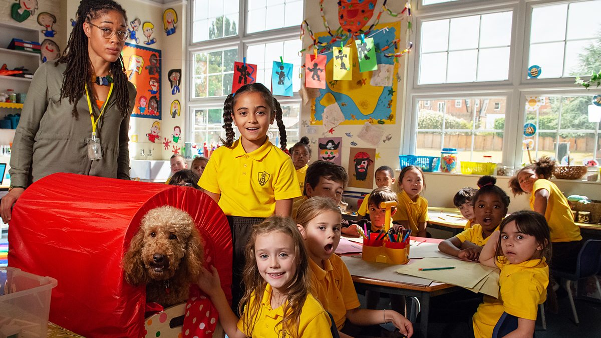 Waffle the Wonder Dog - Series 4: 1. Waffle Tries to Be Still - Audio ...