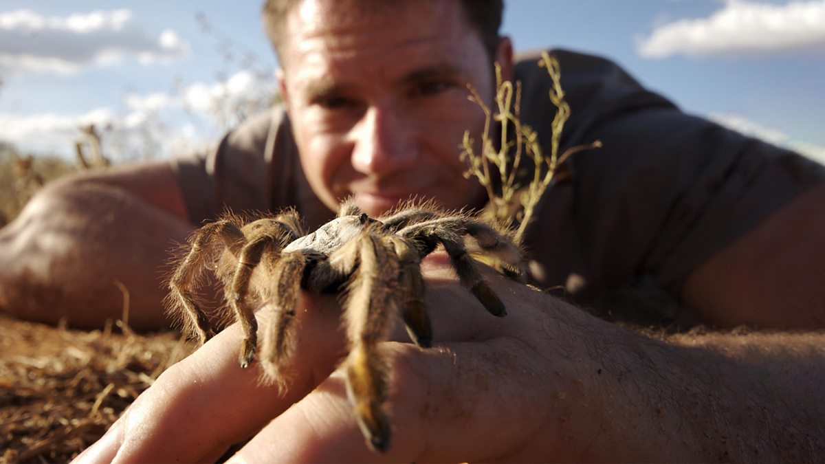 Deadly 60 - Series 1: 1. South Africa - BBC iPlayer