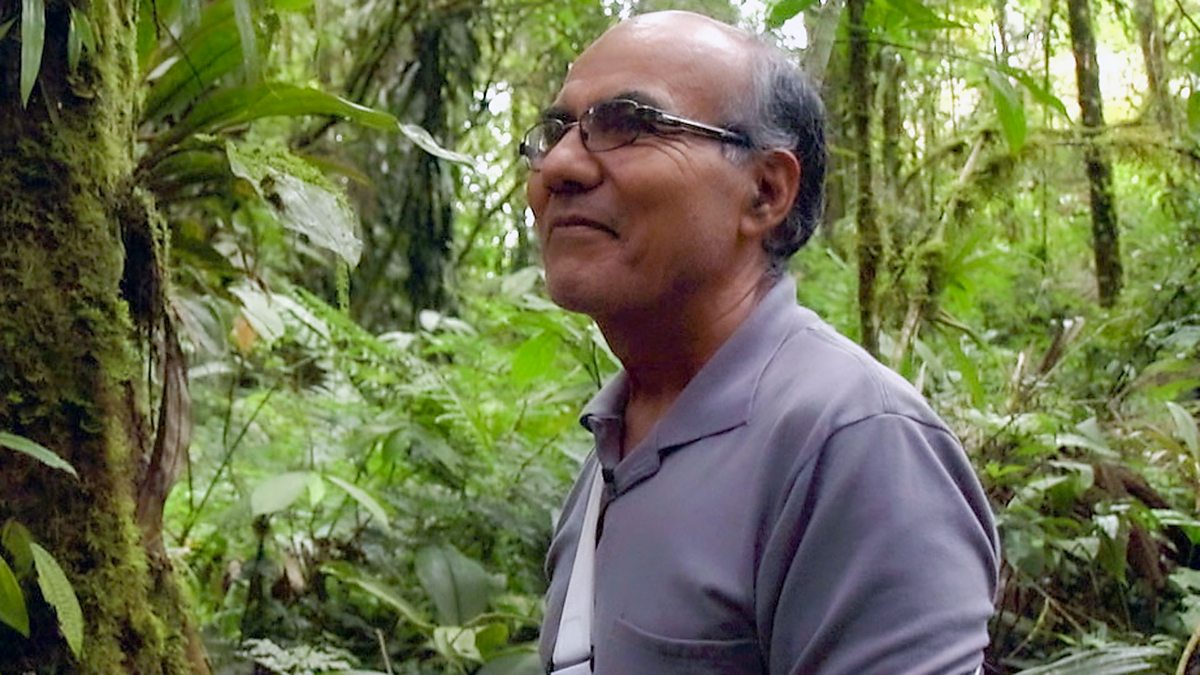 BBC World Service - People Fixing The World, Regrowing the rainforest