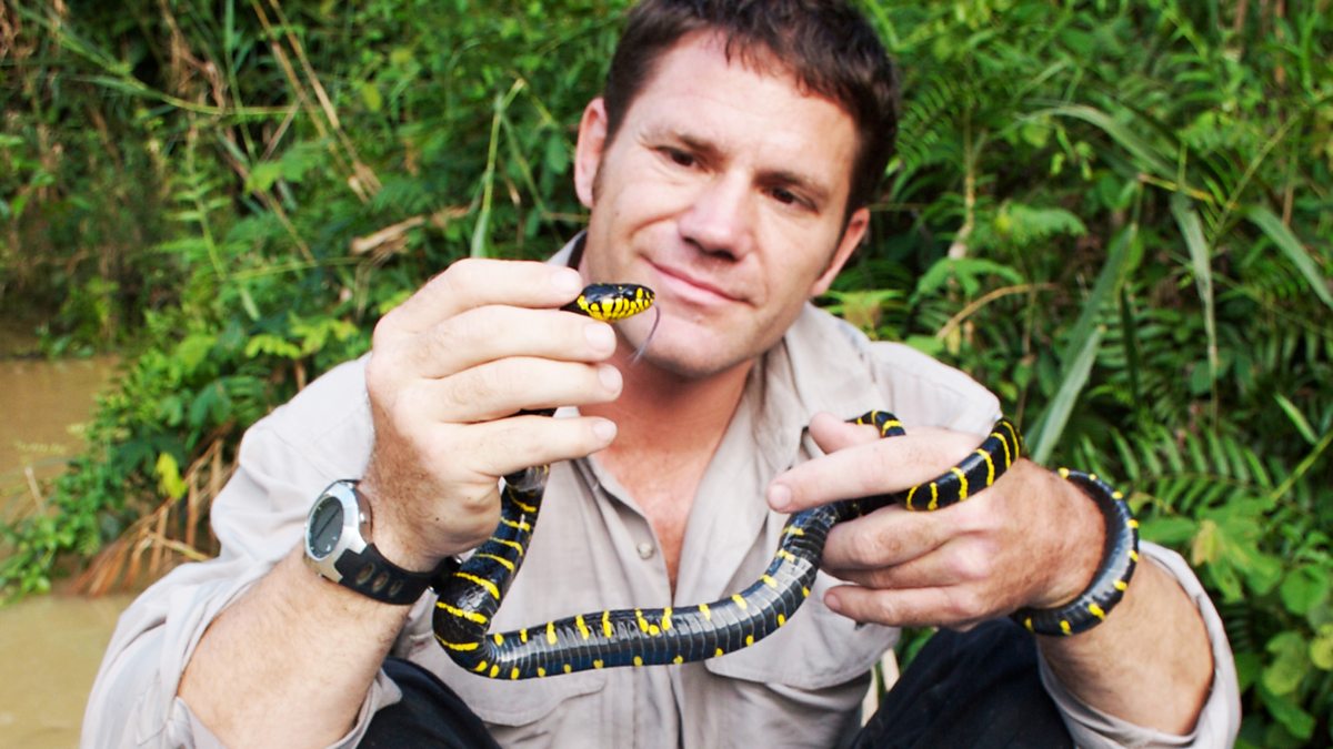 Deadly 60 - Series 1: 24. Behind the Scenes - BBC iPlayer