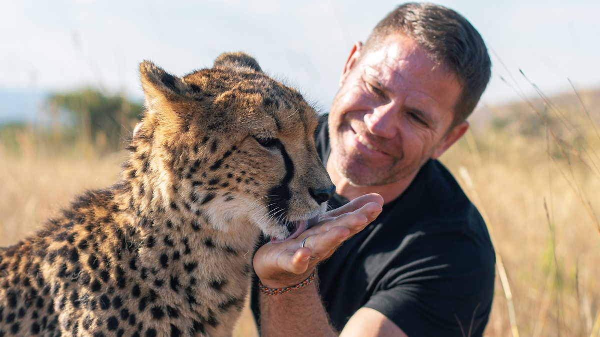 Deadly 60 - Series 4: 11. Unseen - BBC iPlayer