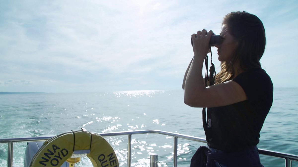 BBC One - Weatherman Walking, The Welsh Coast Series 2, Cardigan to ...