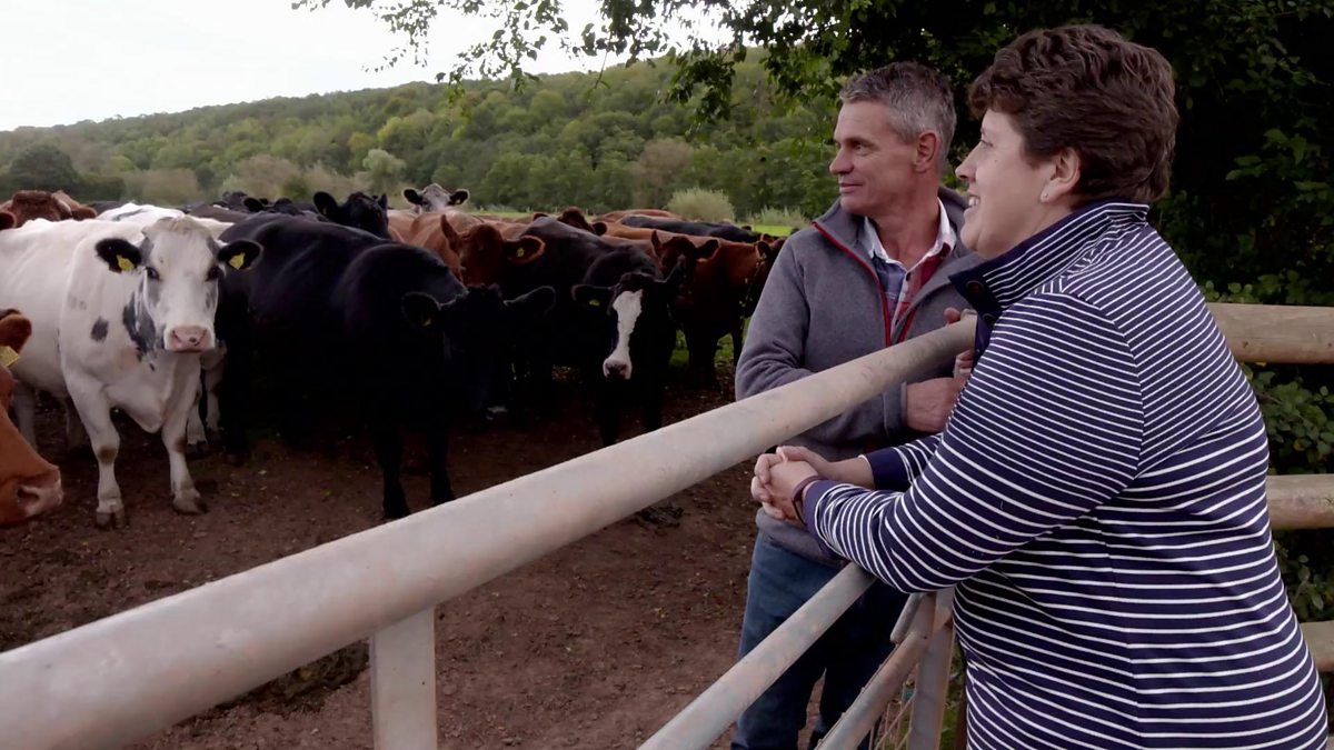 BBC One - Songs of Praise, Faith and Farming, Feature: Hereford Farmer