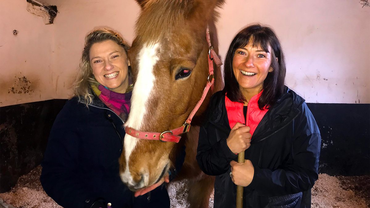 BBC One - Home Ground, Series 8