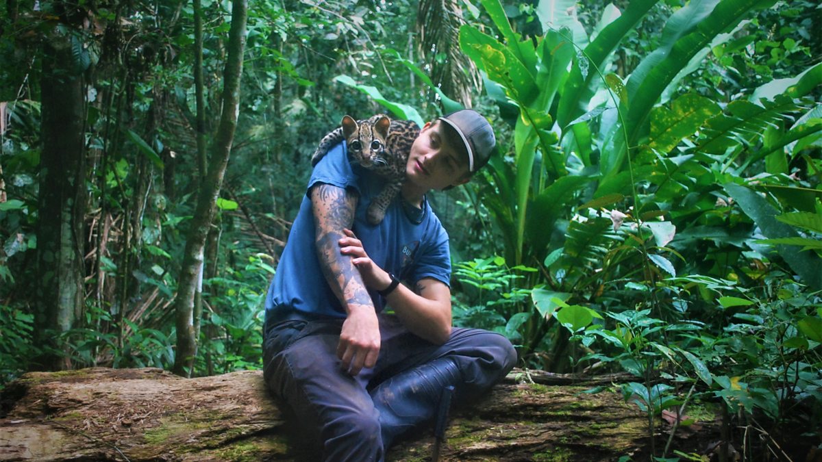 BBC World Service - The Outlook Podcast Archive, I became ‘dad’ to a ...