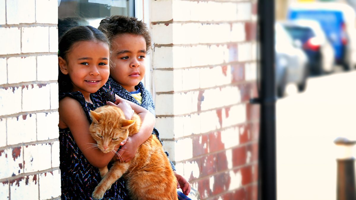 CBeebies - Inside Our Home - A Poem