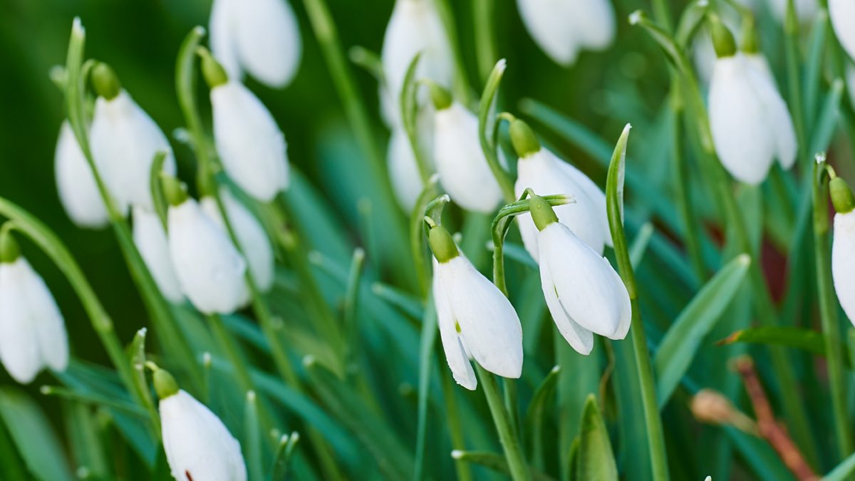 BBC Radio Ulster - Thought for the Day, Peter Quigley, Thursday 28th ...