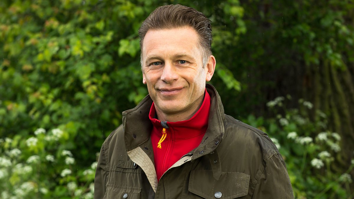 BBC Radio 4 - The Poet Laureate Has Gone to His Shed - Chris Packham ...