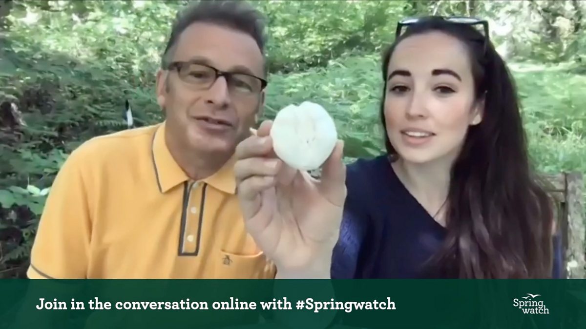 BBC Two - Springwatch, 2020, Out to Lunch – 20th May