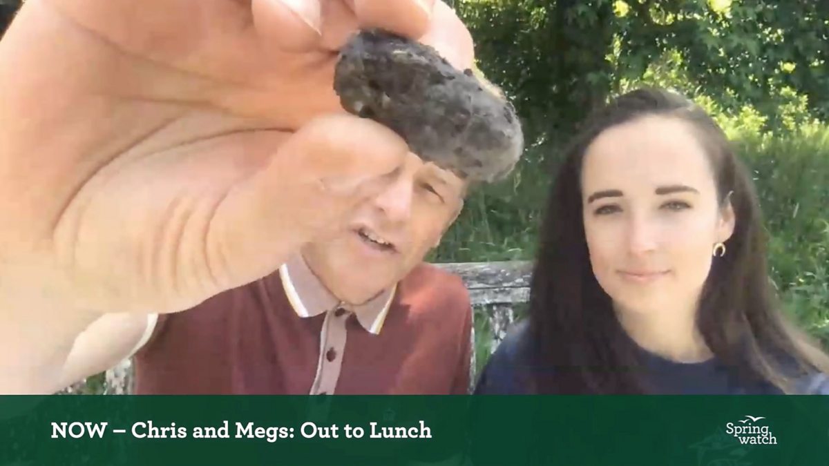 BBC Two - Springwatch, 2020, Out to Lunch - 27th May