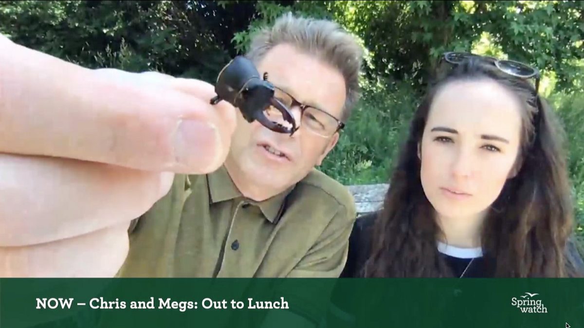 BBC Two - Springwatch, 2020, Out to Lunch – 1st June