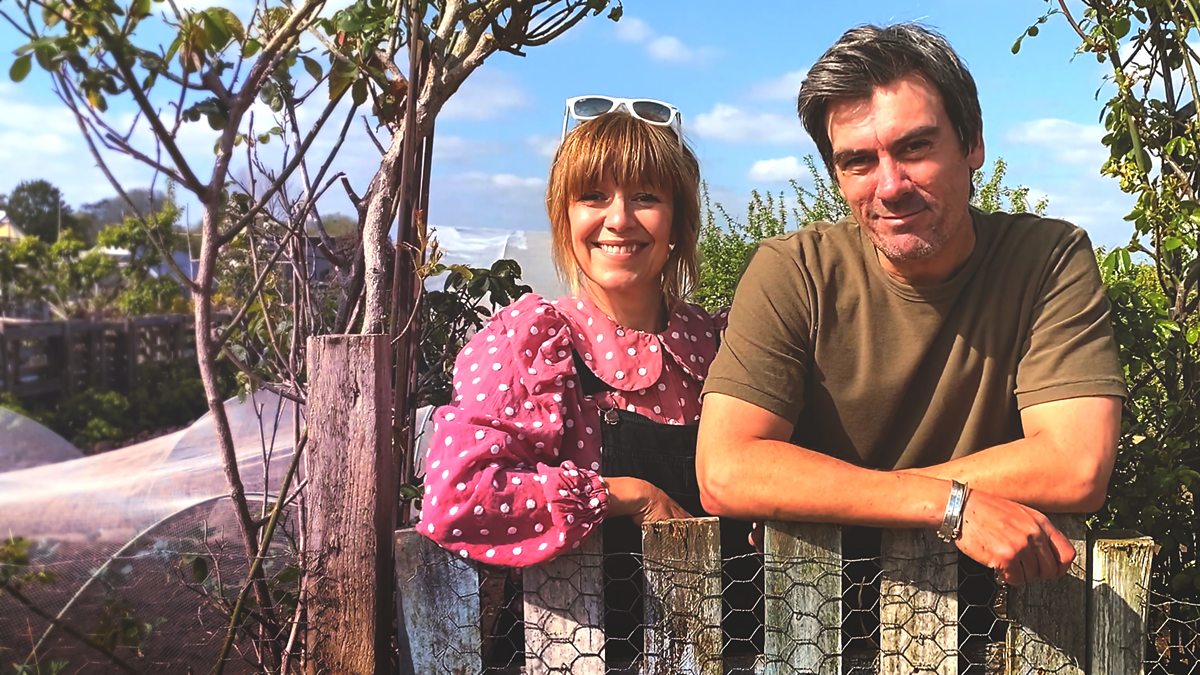 CBBC - Celebrity Supply Teacher, Series 1