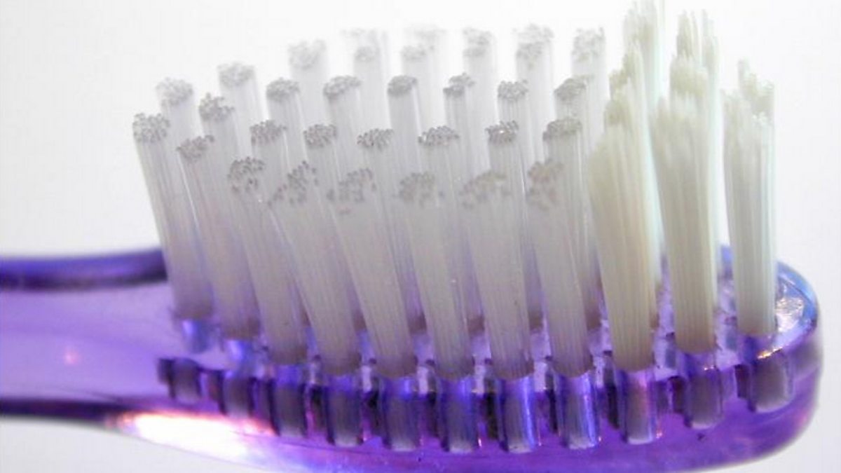 BBC World Service - Discovery, The Origin of Stuff, Toothbrush