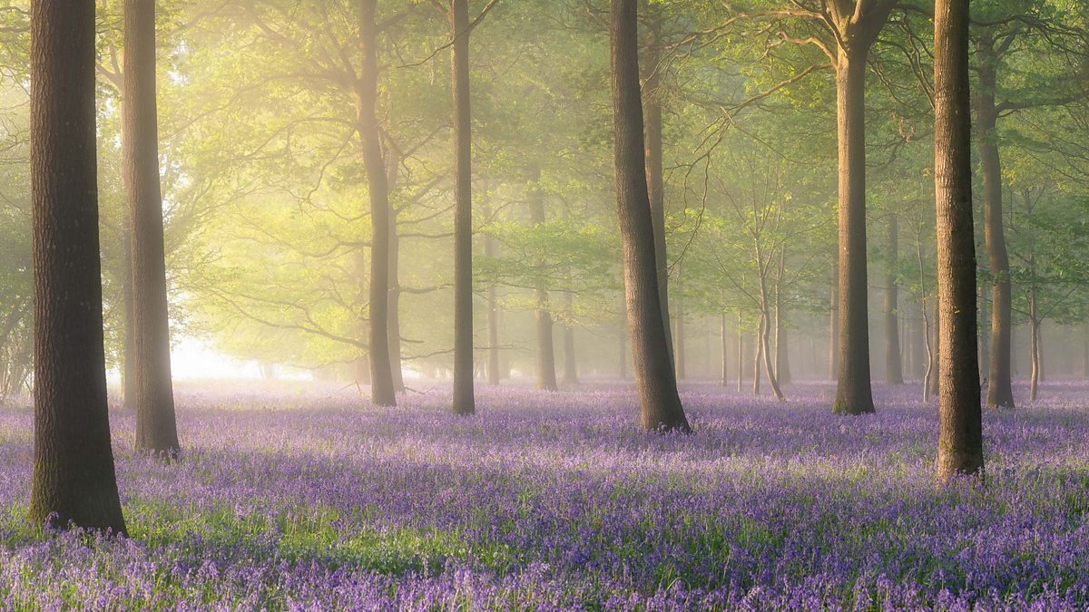 BBC Two - Springwatch - Photographer takeover: Jack Lodge