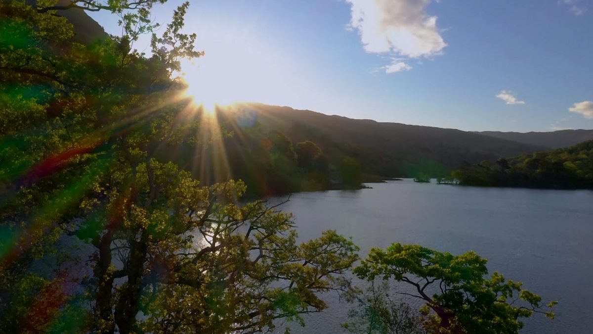 BBC Two - Springwatch, 2020, Episode 9, Mindfulness moment in the Lake ...