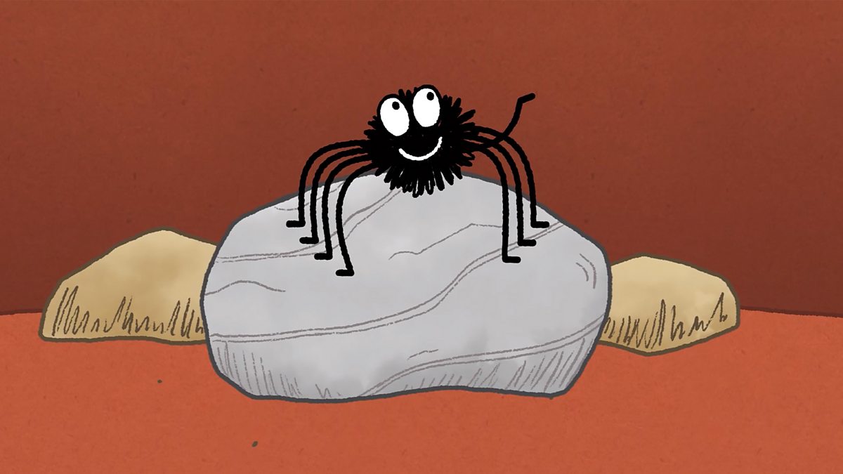 CBeebies Radio - Nick Cope's Popcast, The Spider Song