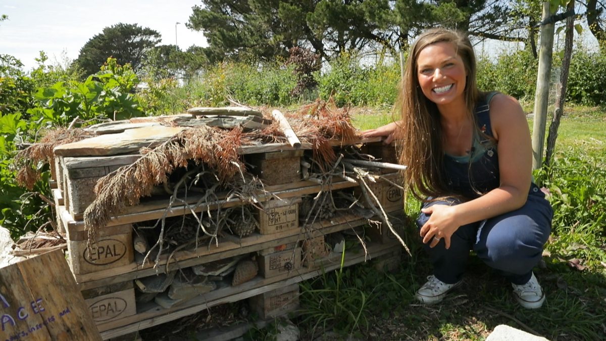 BBC Two - Springwatch, 2020, Hannah's how to videos