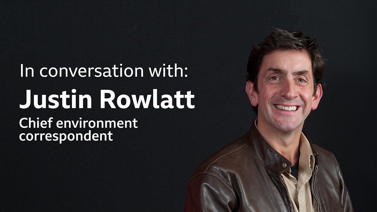 BBC News - Justin Rowlatt Q&A
