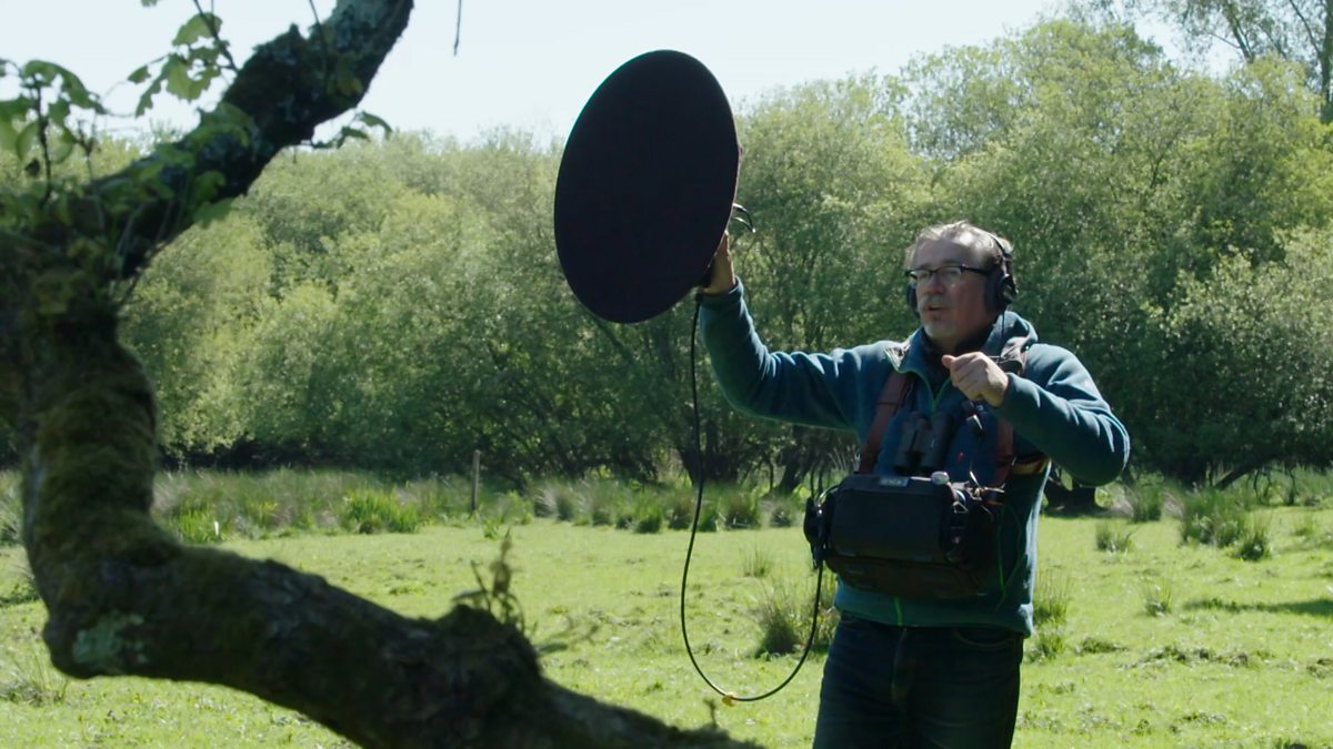 BBC Two - Springwatch, 2020, Episode 12, Birdsong lost to time?