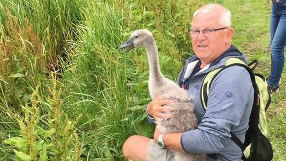 BBC Radio York - Mid-morning on BBC Radio York, With Jonathan Cowap (29 ...