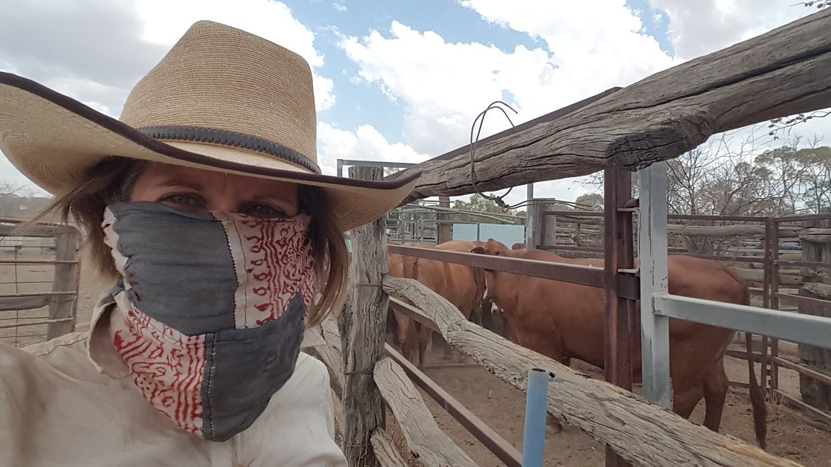 BBC Radio 4 - On Your Farm, Outback Round-Up, Muster time in outback ...