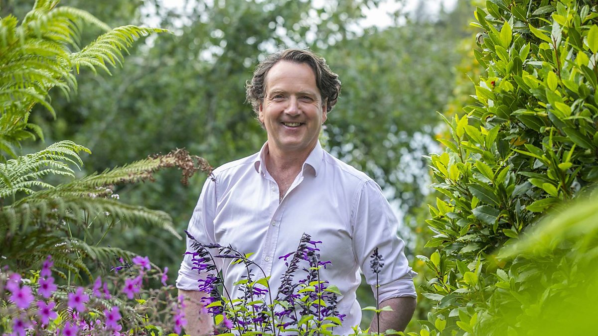 BBC One - Gardening Together with Diarmuid Gavin