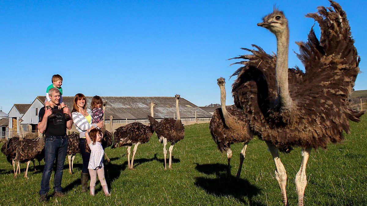 BBC Two - This Farming Life, Series 4, Episode 1