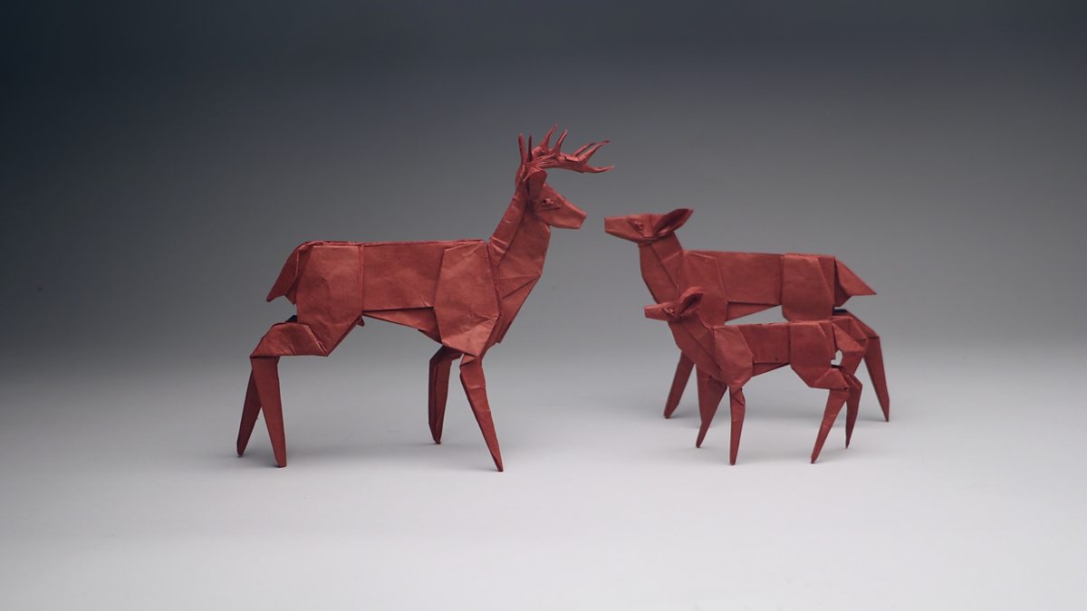 BBC World Service - Outlook, The NASA scientist who gave it all up for ...