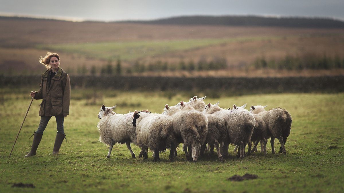 This Farming Life - Series 4: Episode 2 - BBC iPlayer