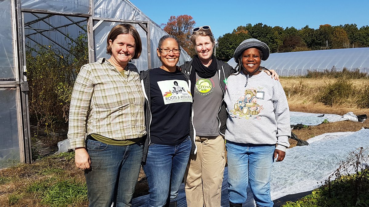 BBC Radio 4 - On Your Farm, Rise and Root: The Diverse Farm