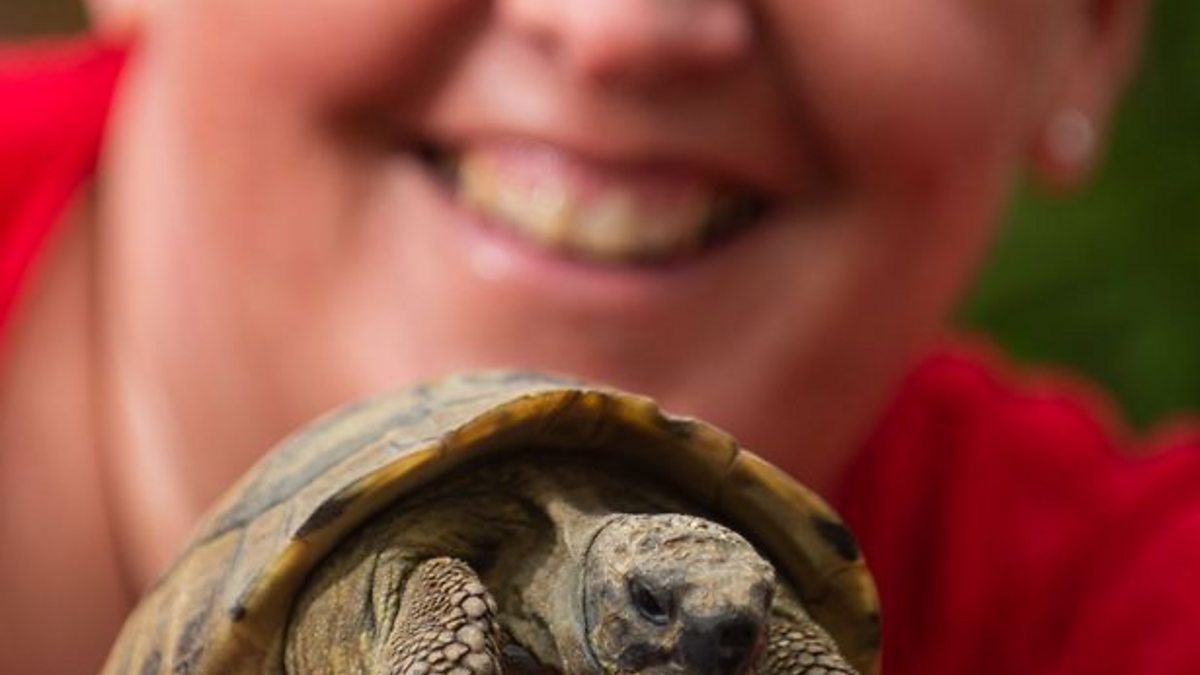 BBC Radio Stoke - Afternoons on BBC Radio Stoke, With Perry Spiller (20 ...