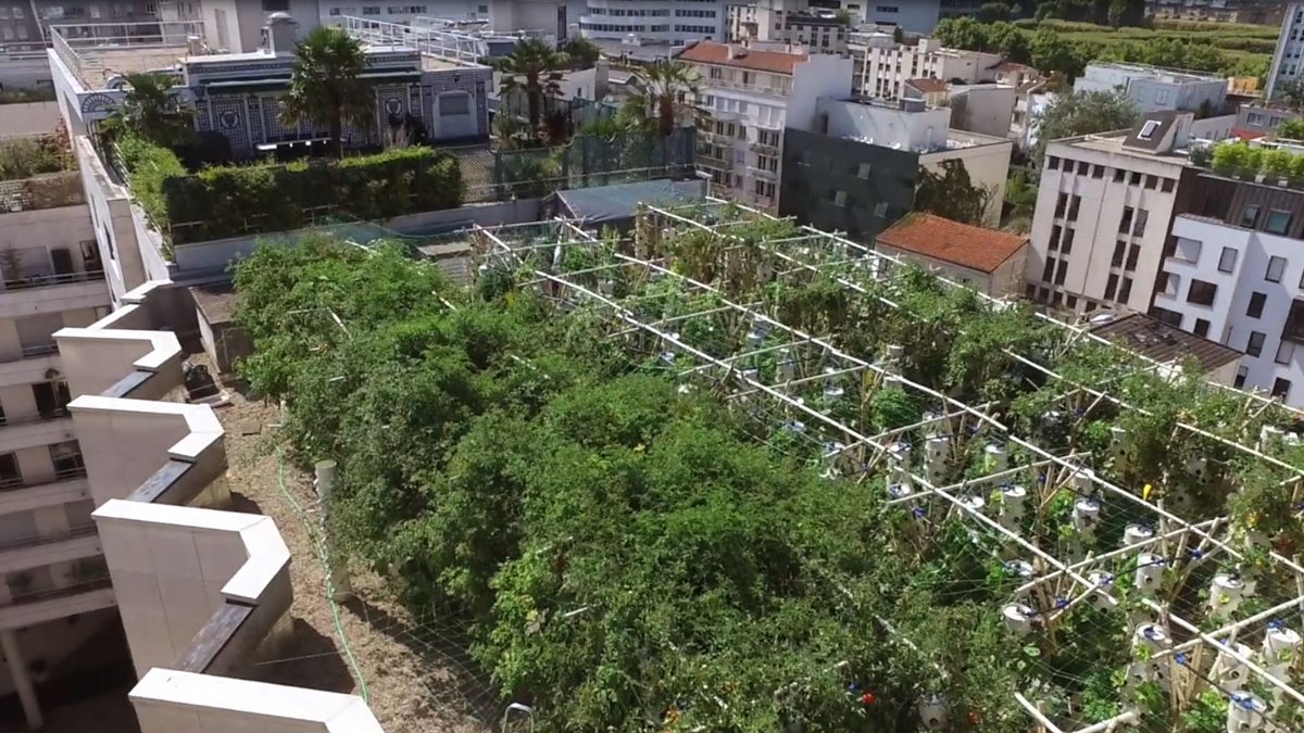 BBC World Service - Newsday, ‘The world’s largest urban rooftop farm’