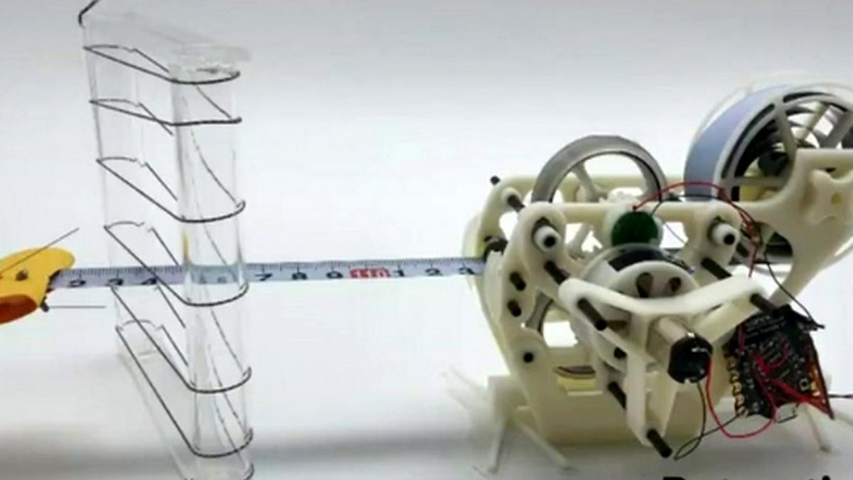 BBC News - Click, How To Save The World, Click News: Robo-chameleon ...