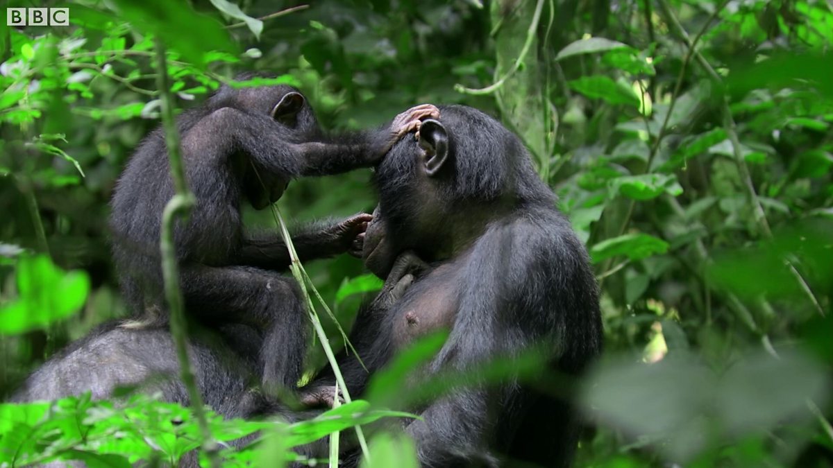 BBC Four - Mindful Escapes: Breathe, Release, Restore, Series 1 ...