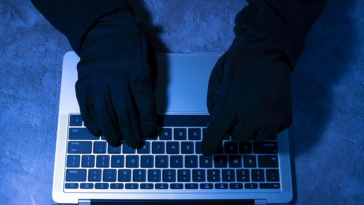 BBC World Service - Digital Planet, Scammers scamming the scammers