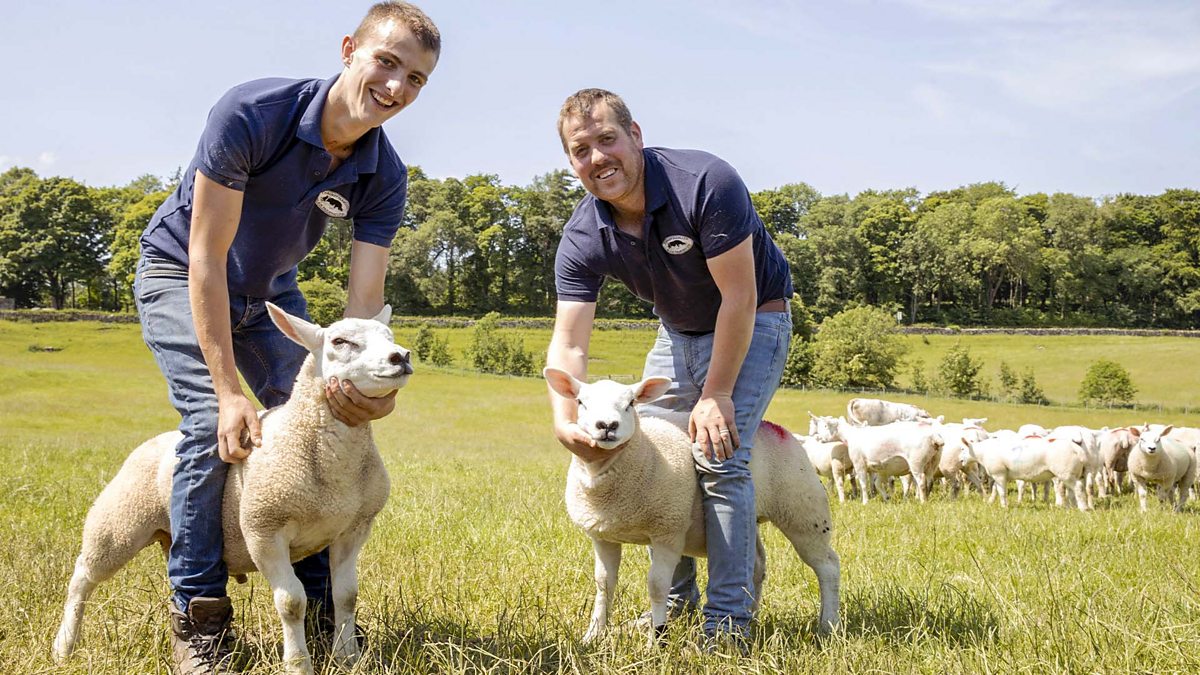 This Farming Life - Series 4: Episode 6 - BBC iPlayer