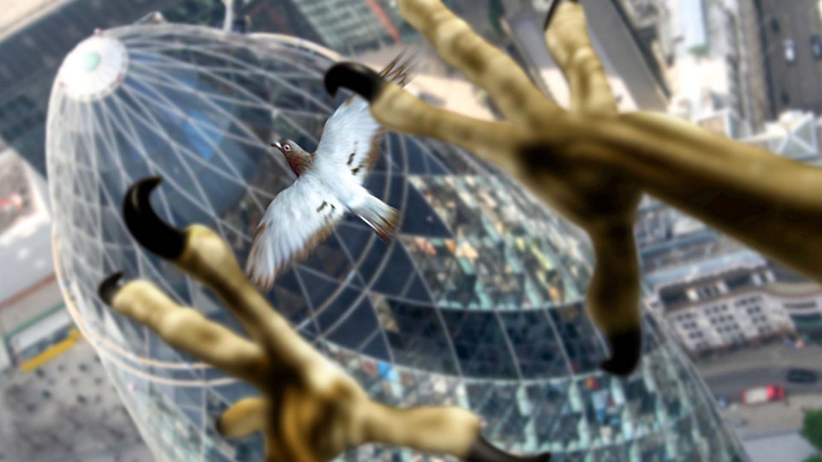 BBC One - Inside the Perfect Predator