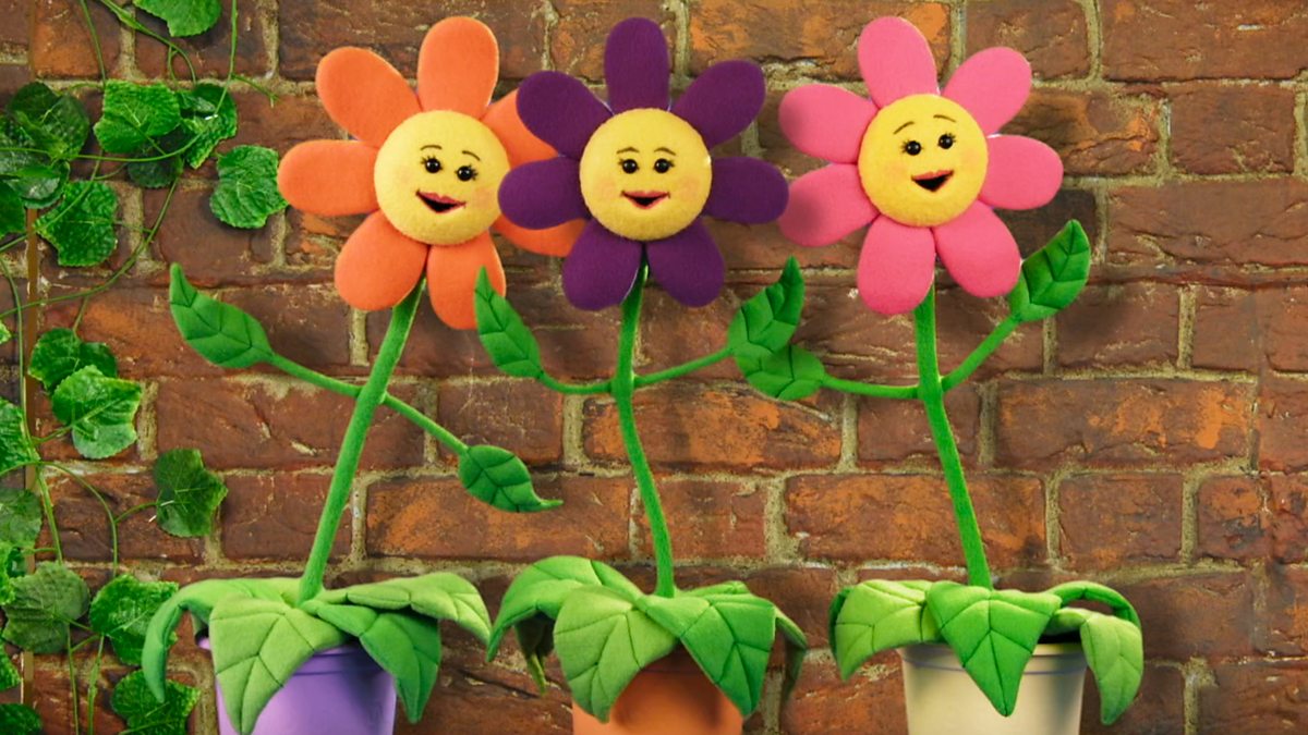 CBeebies - Monty & Co, Series 1, Monty and the Music