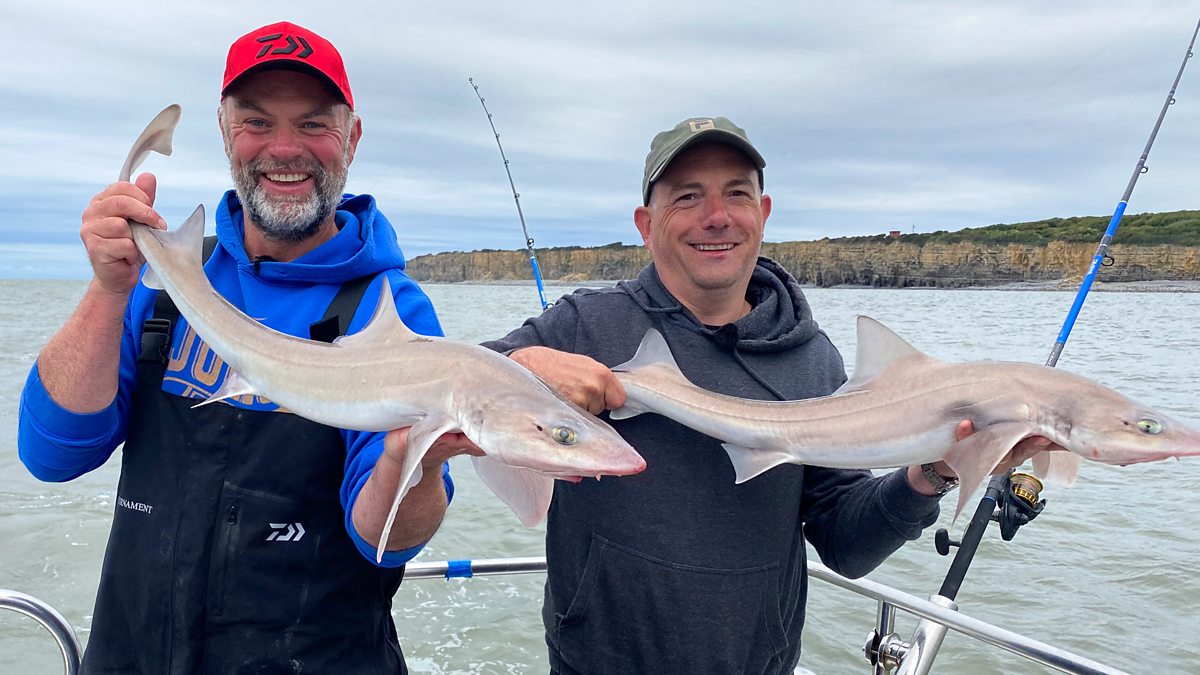 S4C - Pysgod i Bawb, Mor Hafren