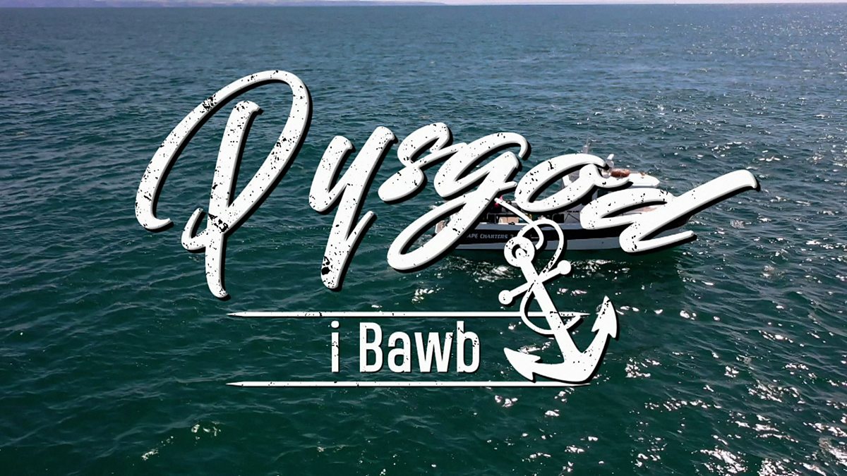 S4C - Pysgod i Bawb