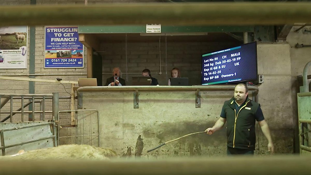 BBC One - Home Ground, Series 9, Episode 4, 'The mart' like you've ...