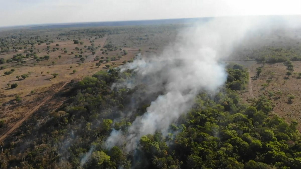 BBC News - Brazil: Amazon on Fire