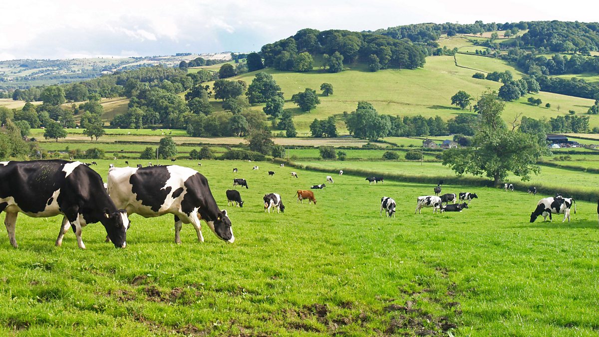 BBC Radio 4 - Radio 4 in Four, What to know when walking a footpath ...