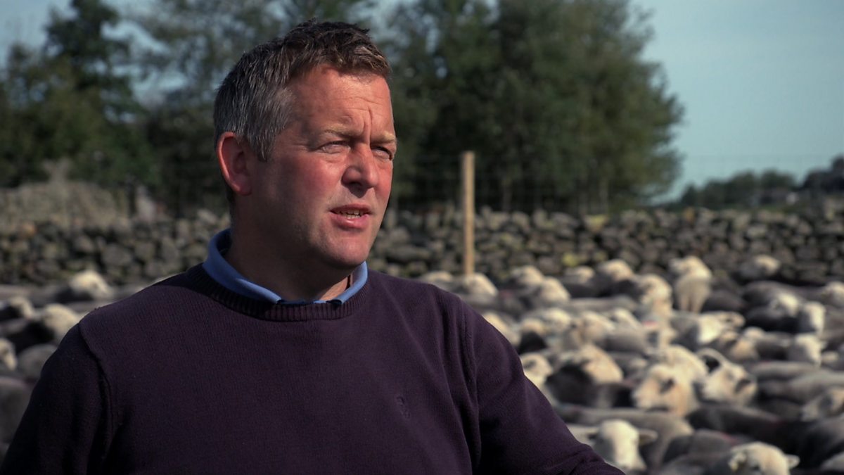 BBC News - HARDtalk, James Rebanks - Shepherd and Author, James Rebanks ...