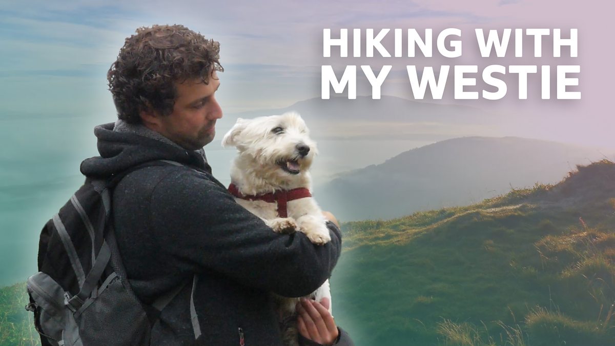 BBC - The Social, Going On A Local Adventure With Ross And Dex The Dog
