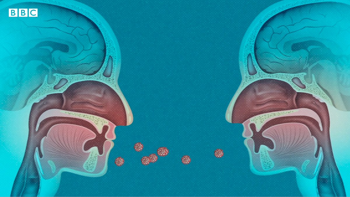 BBC World Service - The science of Covid-19: What happens next ...