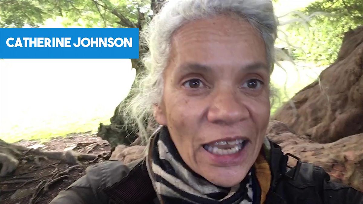 CBBC - CBBC Book Club, CBBC Book Club - Catherine Johnson