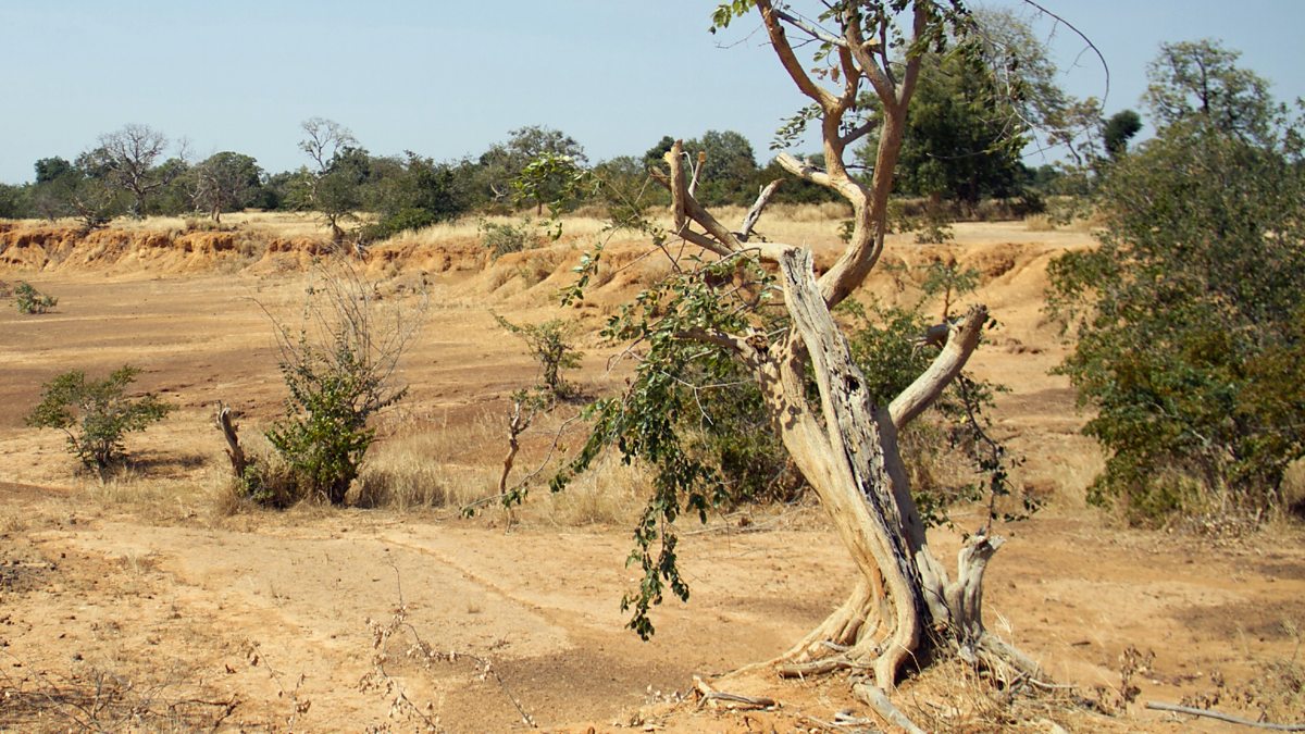 BBC World Service - The Compass, Climate Wars, Climate Wars: The Sahel