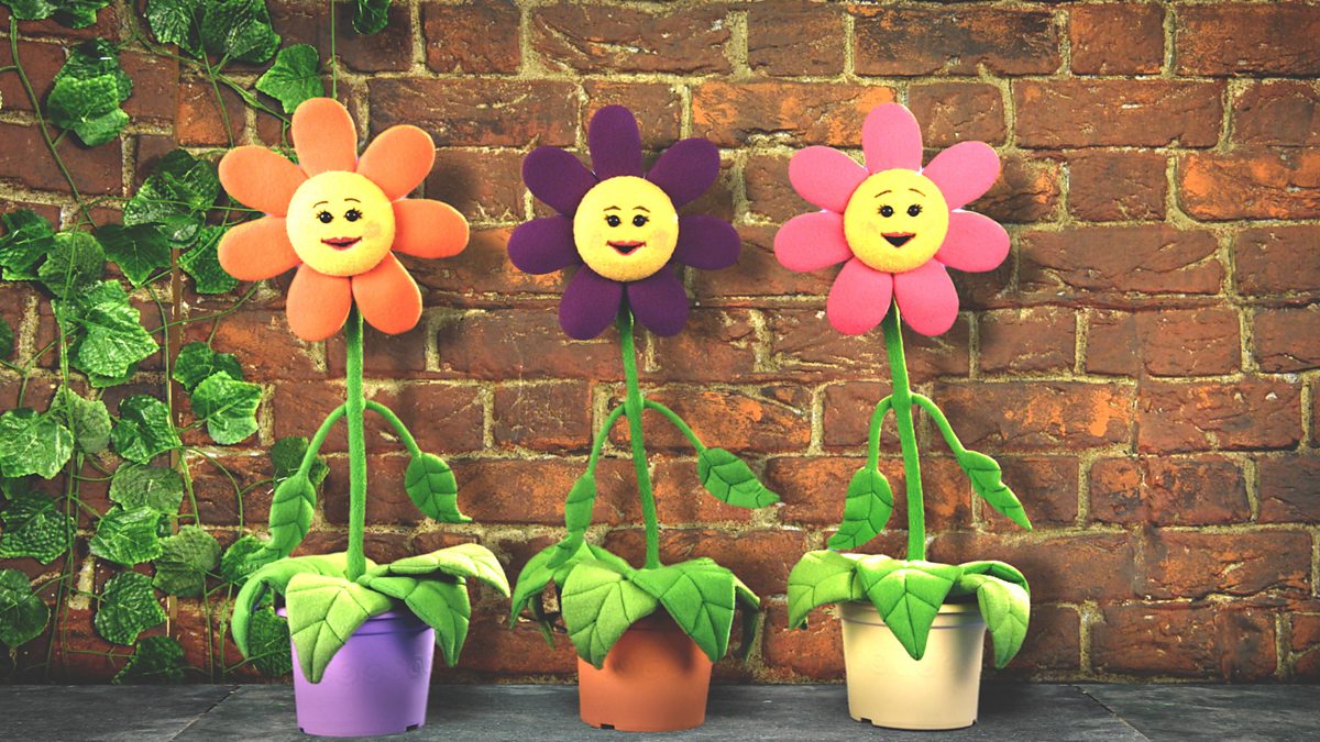 CBeebies - Monty & Co, Series 1, Whose Bedroom?